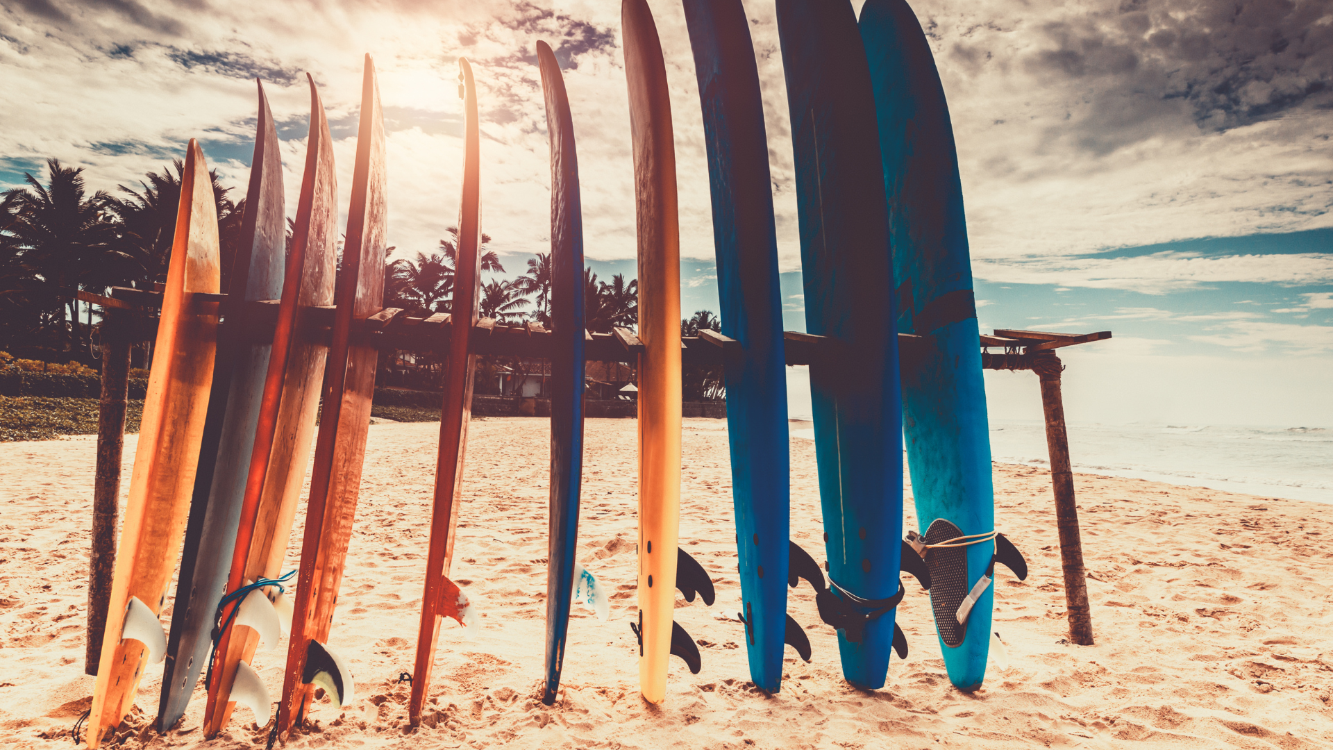 Sunset Surf Shop | 25 Years of Experience | Surfboards, Wesuits, Shop ...
